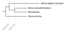 Mitochondrial Eve and Y Chromosome Adam - Article - BioLogos