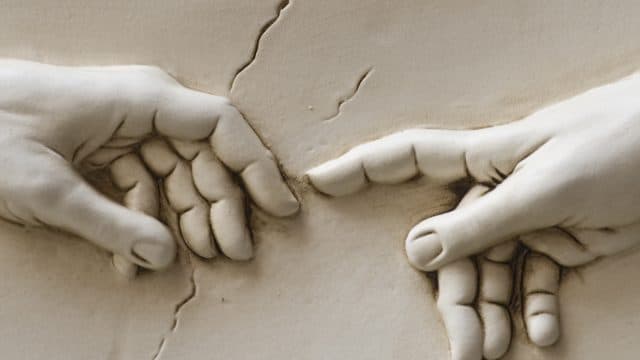 Are Humans Just Animals? Scripture, Science, and Identity - Article ...