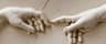 How could humans have evolved and still be in the "Image of God ...
