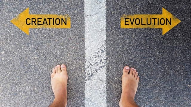 How Did Life Begin? - Common Question - BioLogos