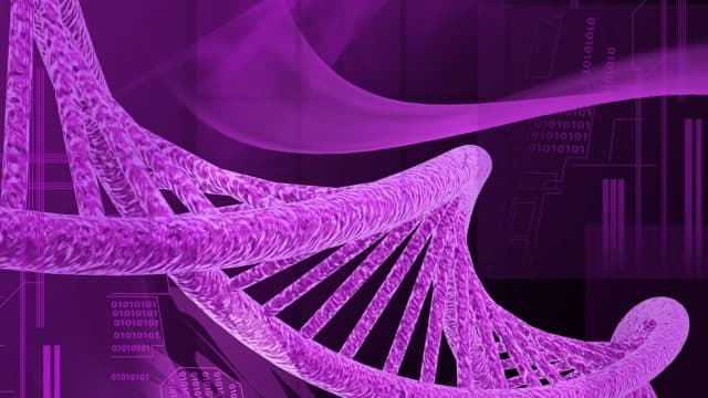 What is the Evidence for Evolution? - Common Question - BioLogos
