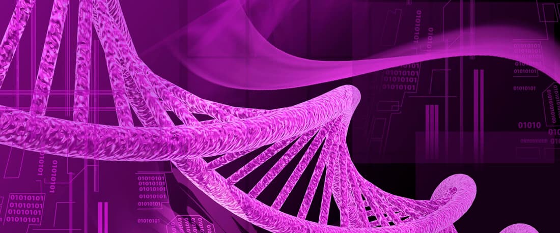 What is the Genetic Evidence for Human Evolution? - Common Question ...