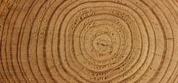 Cross-checking Dating Methods: Tree Rings, Varves, and Carbon-14 ...