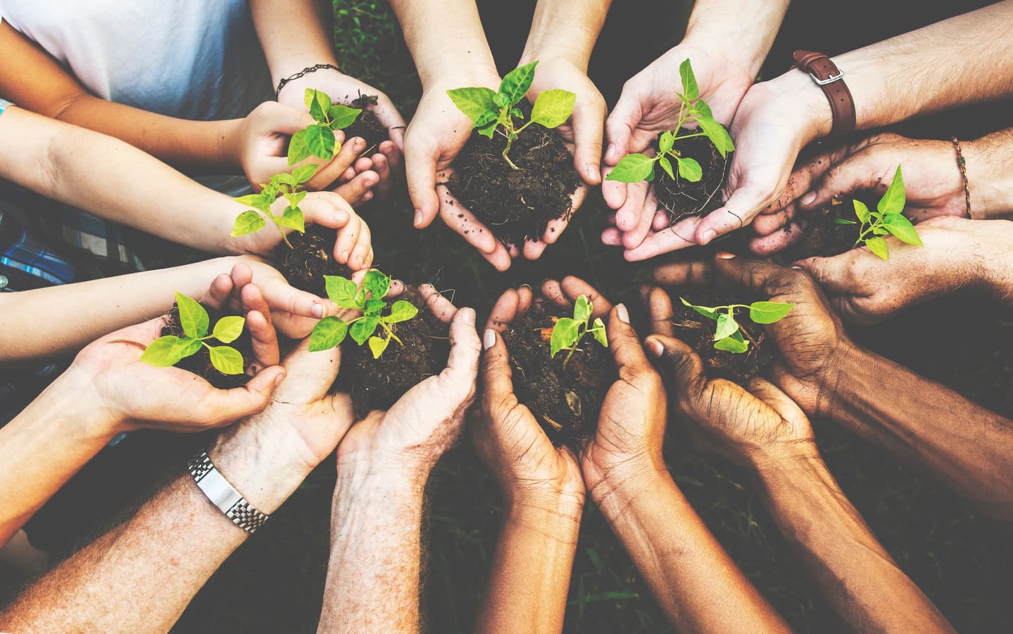Why Should Christians Care for Creation? - Common Question - BioLogos