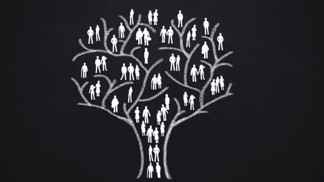What Genetics Says About Adam and Eve - Article - BioLogos