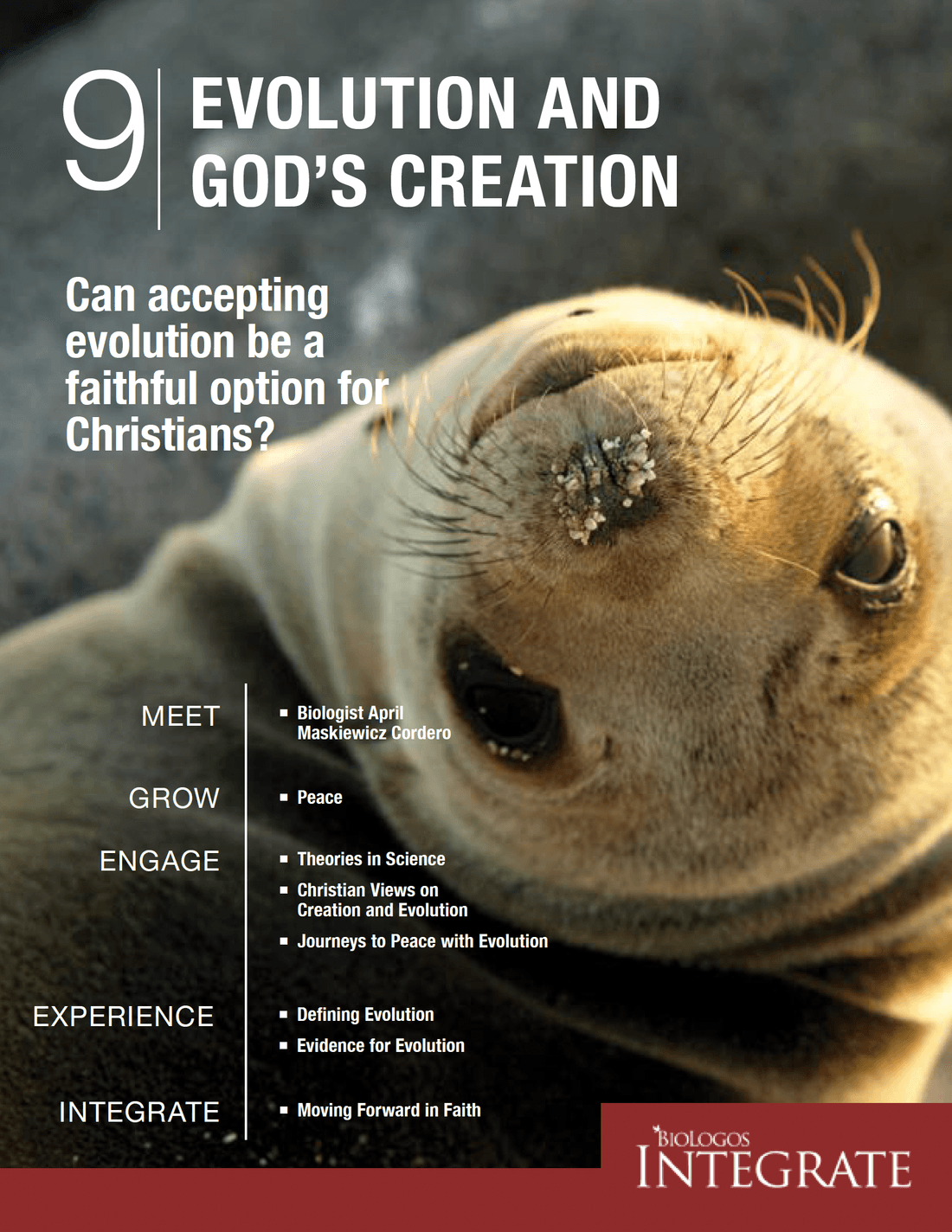 Evolution and God's Creation | Integrate - Faith & Science Curriculum ...